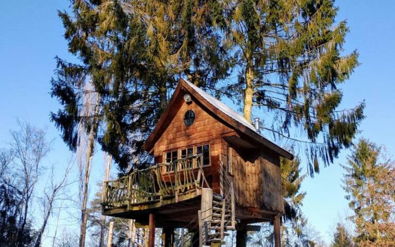 Boomhut Overnachtingen - Buitengewoonovernachten.be